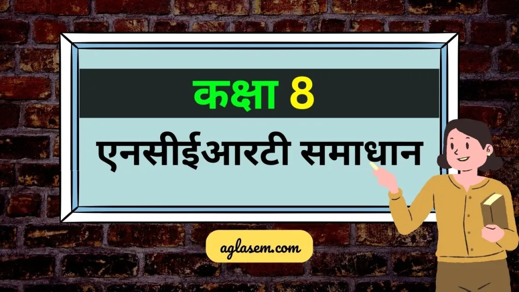 एनसीईआरटी समाधान कक्षा 8 हिंदी अध्याय 3 बस की यात्रा प्रश्न उत्तर
